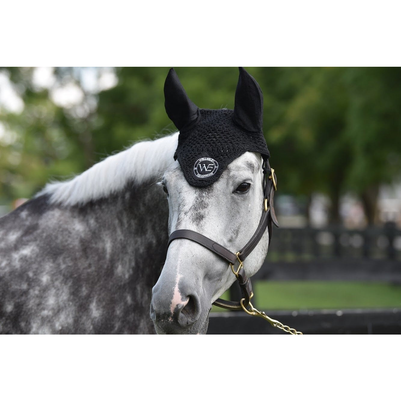 WE Coolmesh Show Jumping Bonnet | Wellesley Equestrian